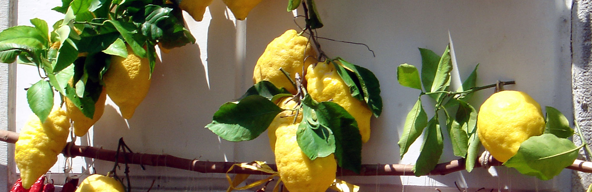 Amalfi_-_limoni_e_peperonci - The Slow Road Luxury Travel Blog