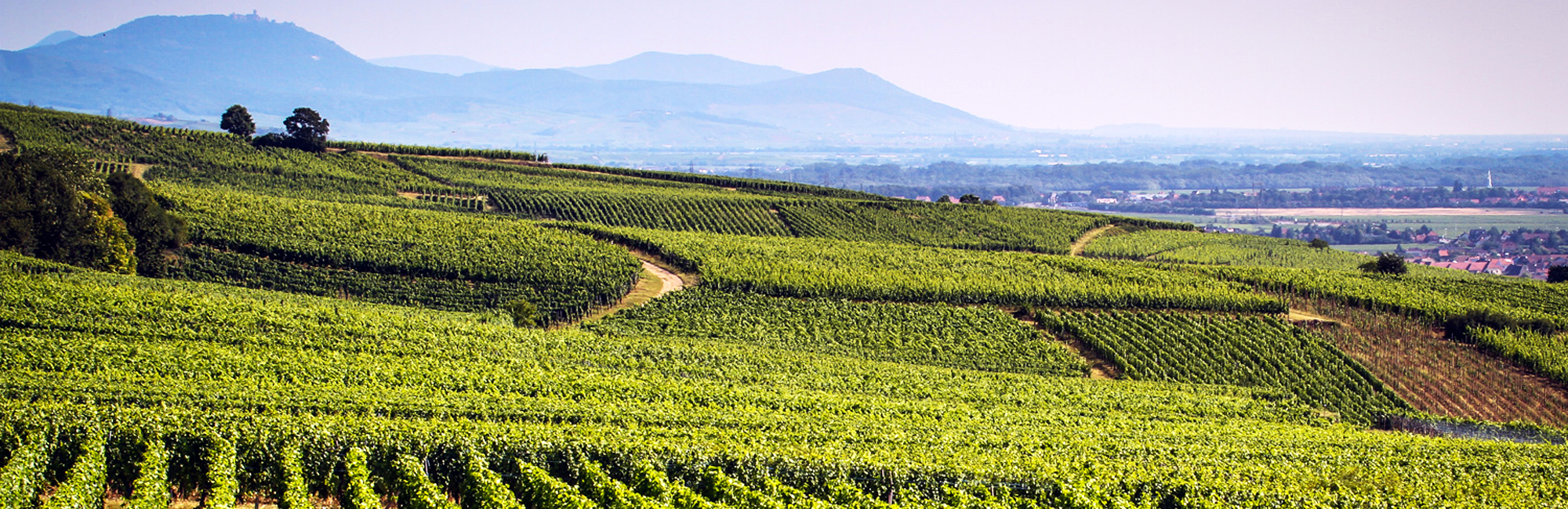 Alsace Travel Blog | The Slow Road