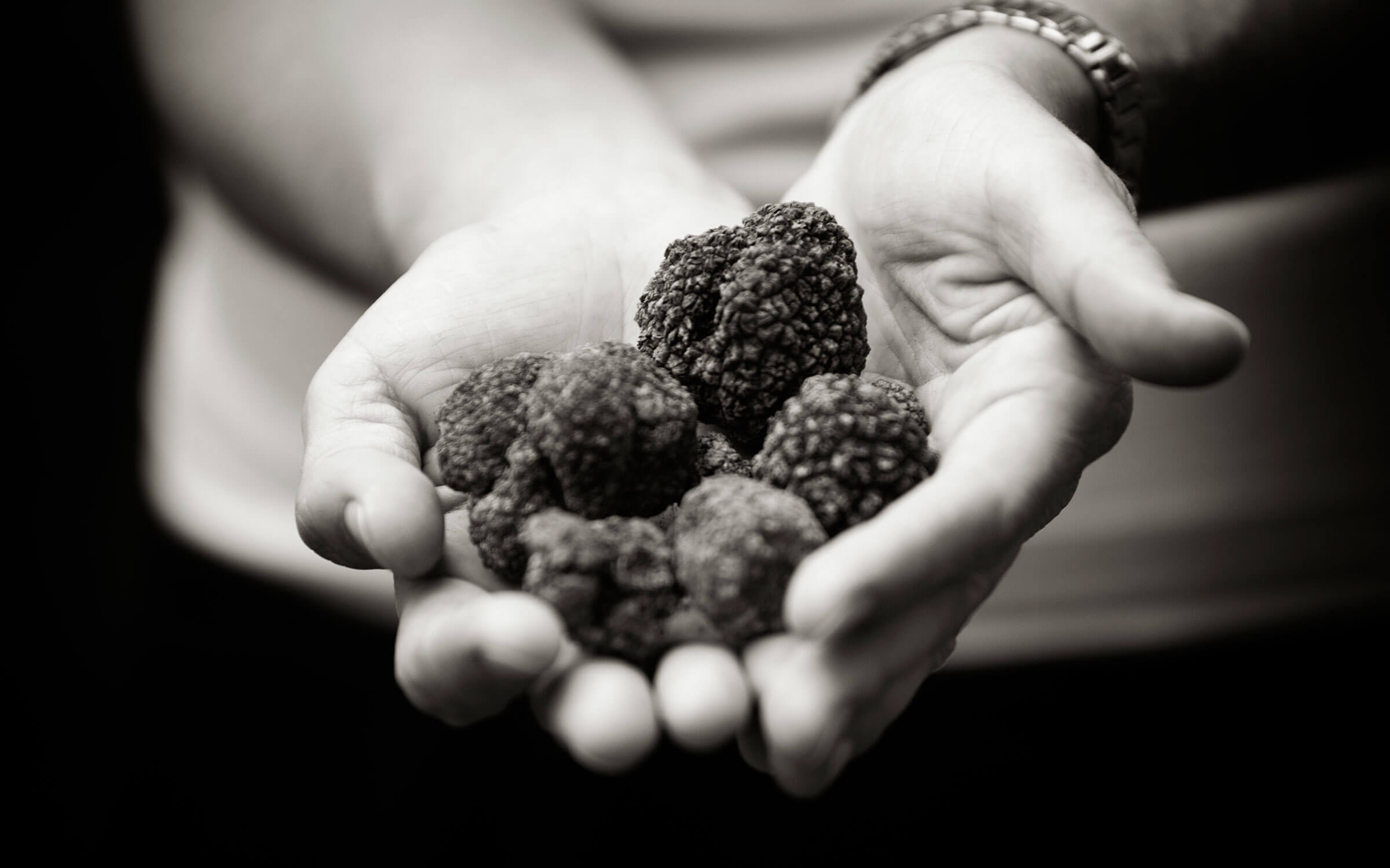 Truffle Hunting in Piemonte | Butterfield & Robinson