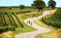 The 8 Best Cycling Routes in France | Butterfield & Robinson