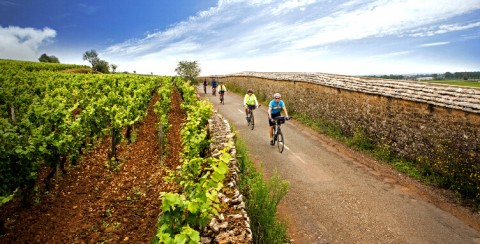 The 8 Best Cycling Routes in France | Butterfield & Robinson