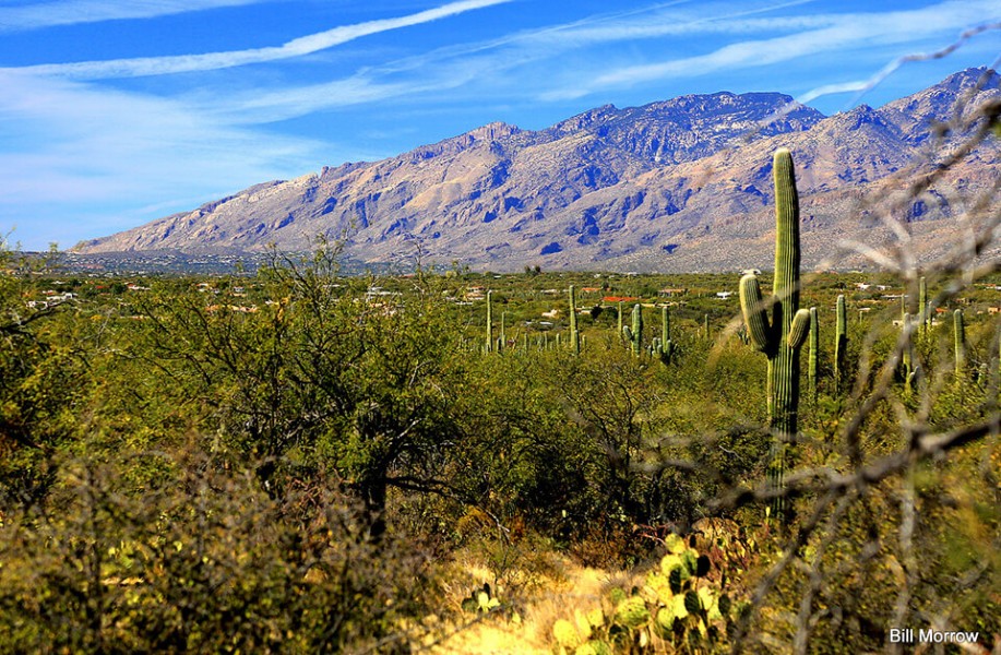 Santa-Catalina-Mountains - The Slow Road Luxury Travel Blog