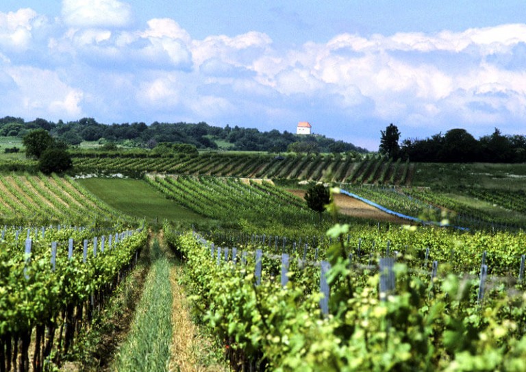 8 Reasons Why You MUST Visit Lake Neusiedl | Butterfield & Robinson