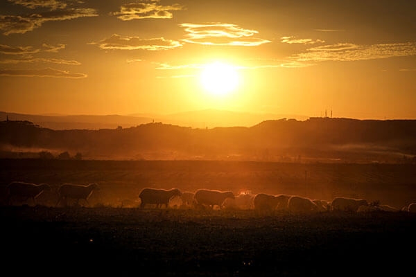 In Deep: La Rioja | Butterfield & Robinson