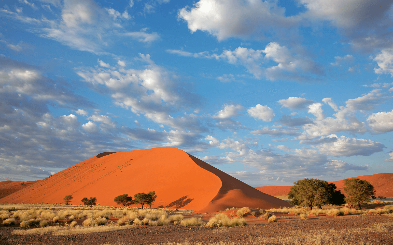 In Deep: Namibia & Windhoek | Butterfield & Robinson