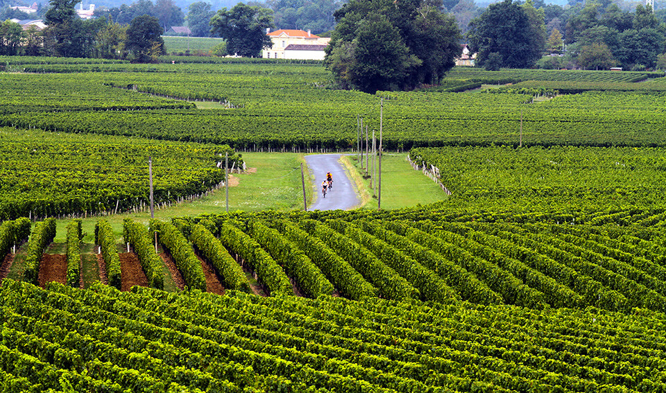 The World's Best: Top 15 Bordeaux Wines | Butterfield & Robinson