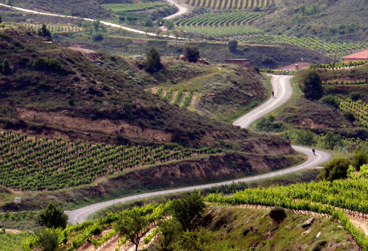 The 10 Best Rioja and Ribeira del Duero Wines | Butterfield & Robinson