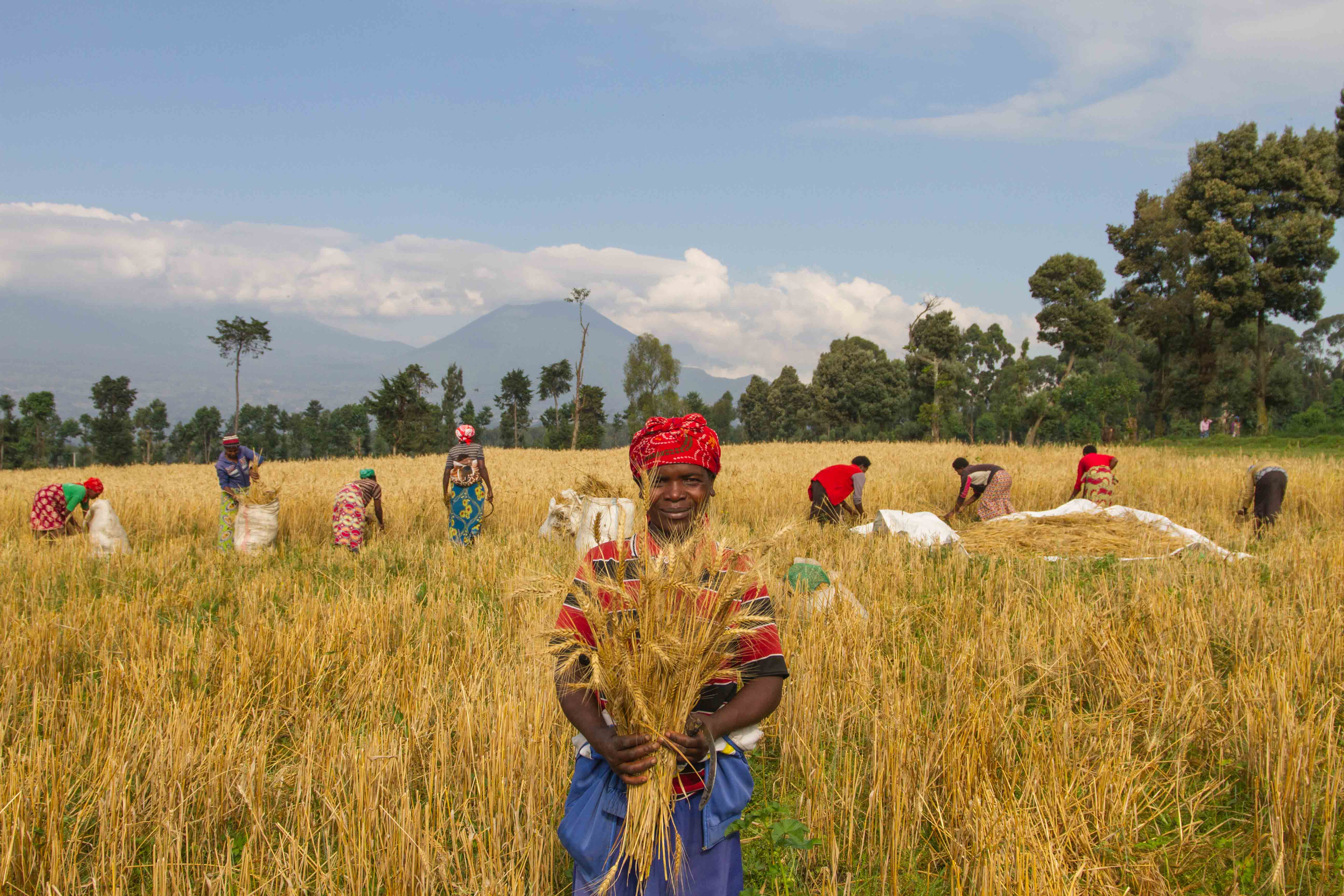 Launching a Social Enterprise in Rwanda During a Global Pandemic: The ...