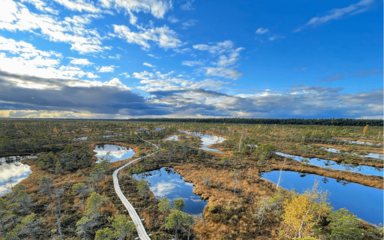 Discovering the Baltics, Europe's Best-Kept Secret | Butterfield & Robinson